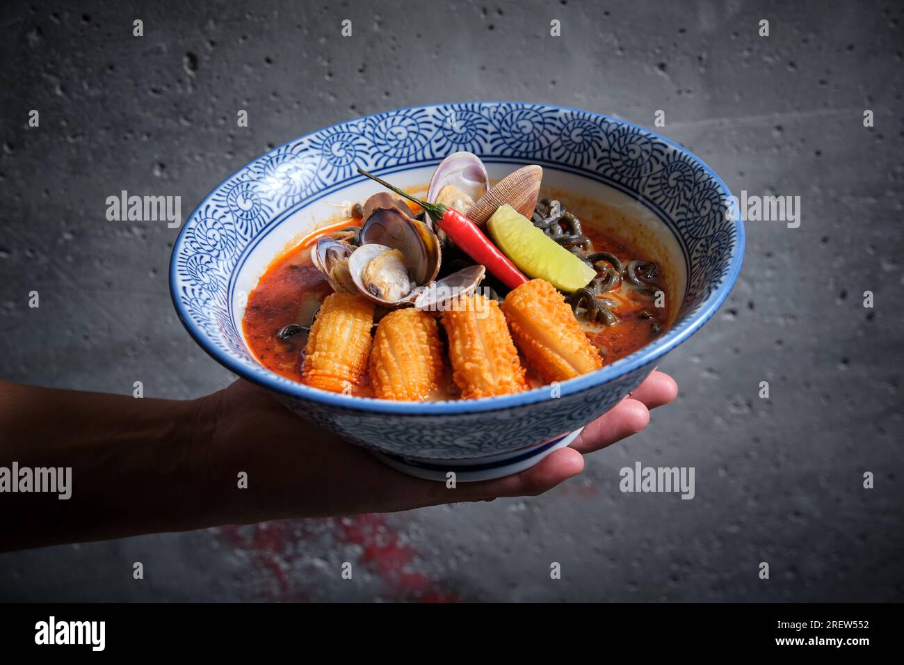 Typical hot ramen dish with fish broth in a bowl with black noodles ...