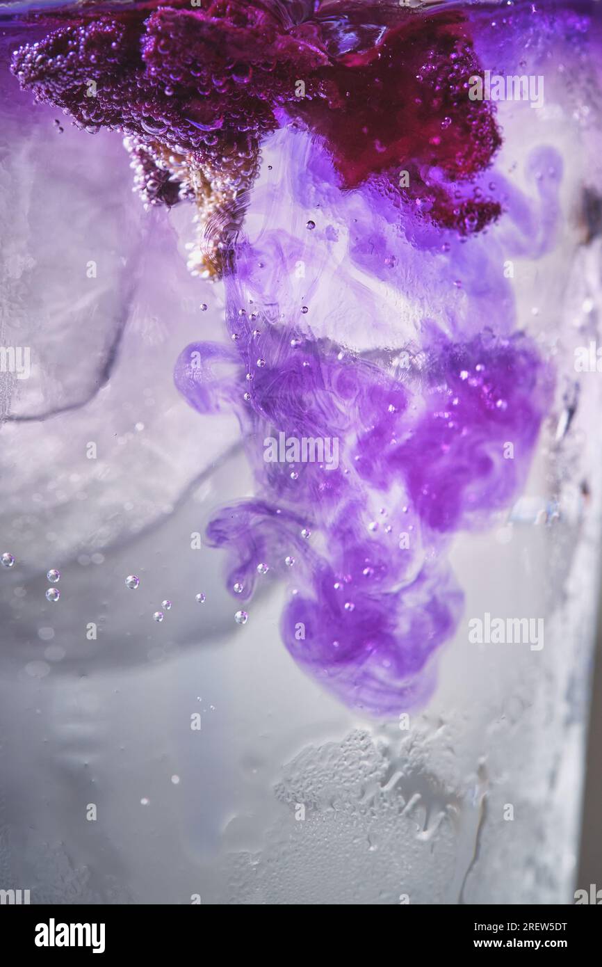 Ice with lilac colored tonic Stock Photo - Alamy