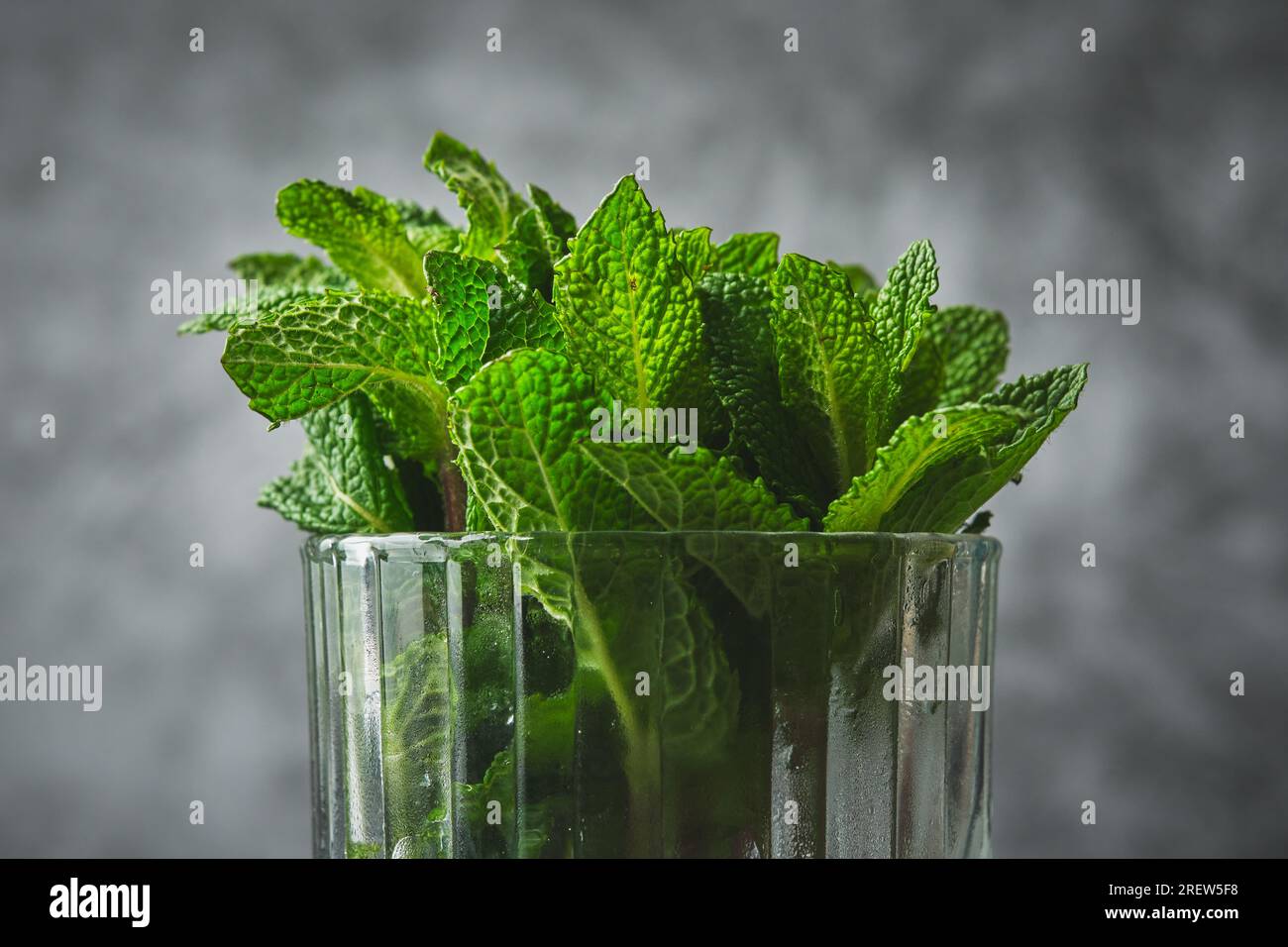 Fresh mint leaves put in a glass jar Stock Photo - Alamy