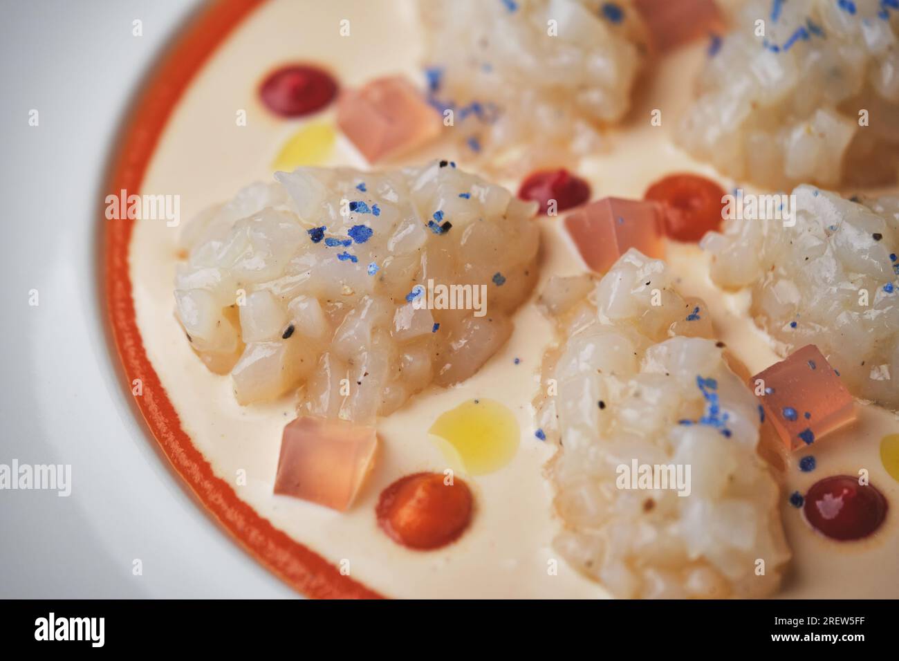 Calamari fish sea edible squid hi-res stock photography and images - Alamy