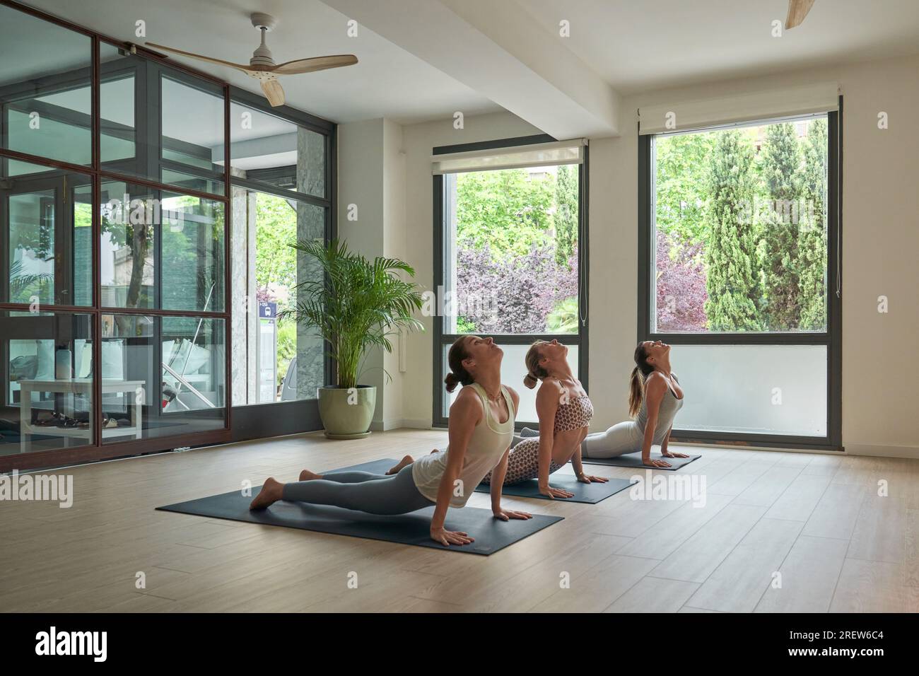 Side view of flexible barefoot women lying on gray mats in Bhujangasana ...