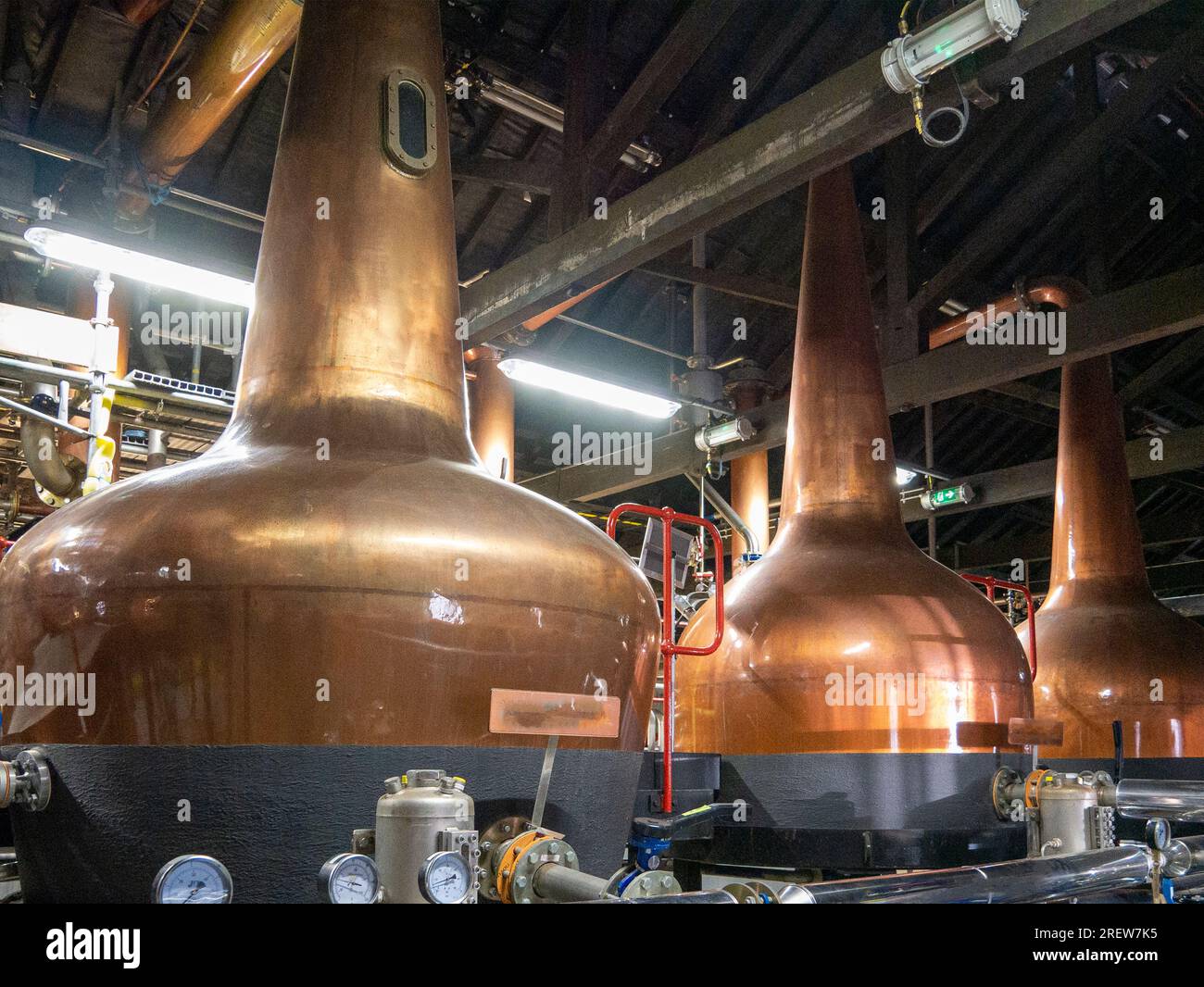 Industrial whiskey distiller construction, alcohol production factory ...