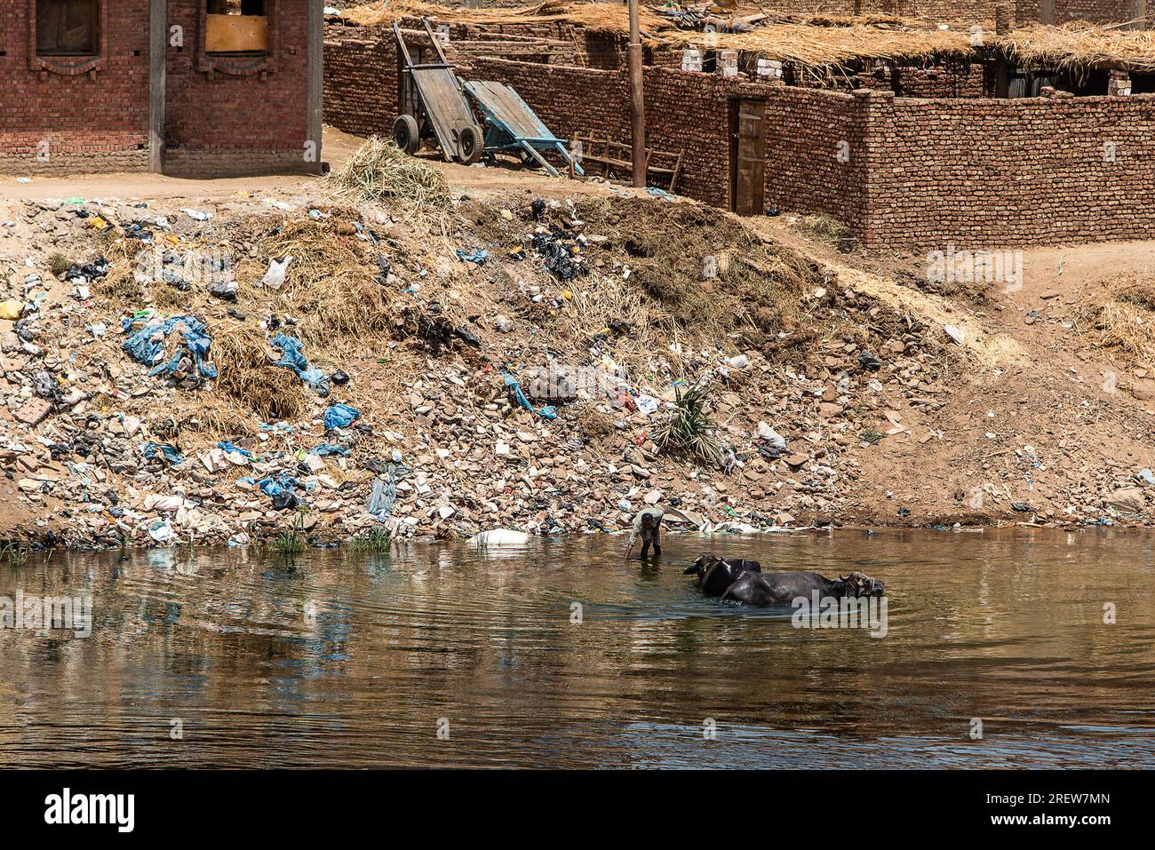 Nil River in Egypt filled with trash and plastic ecological disaster ...