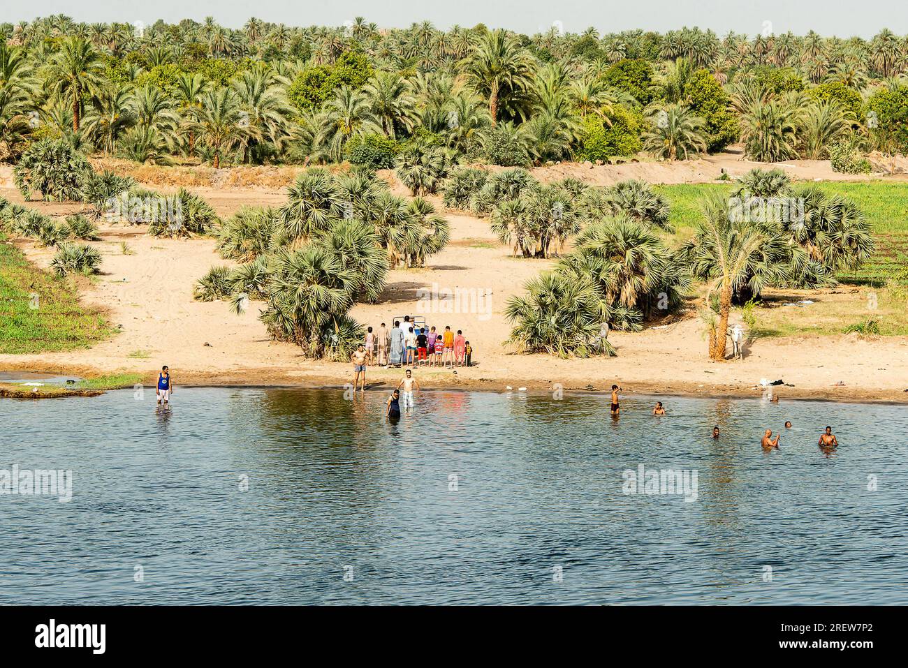 Ancient egypt tree of life hi-res stock photography and images - Alamy