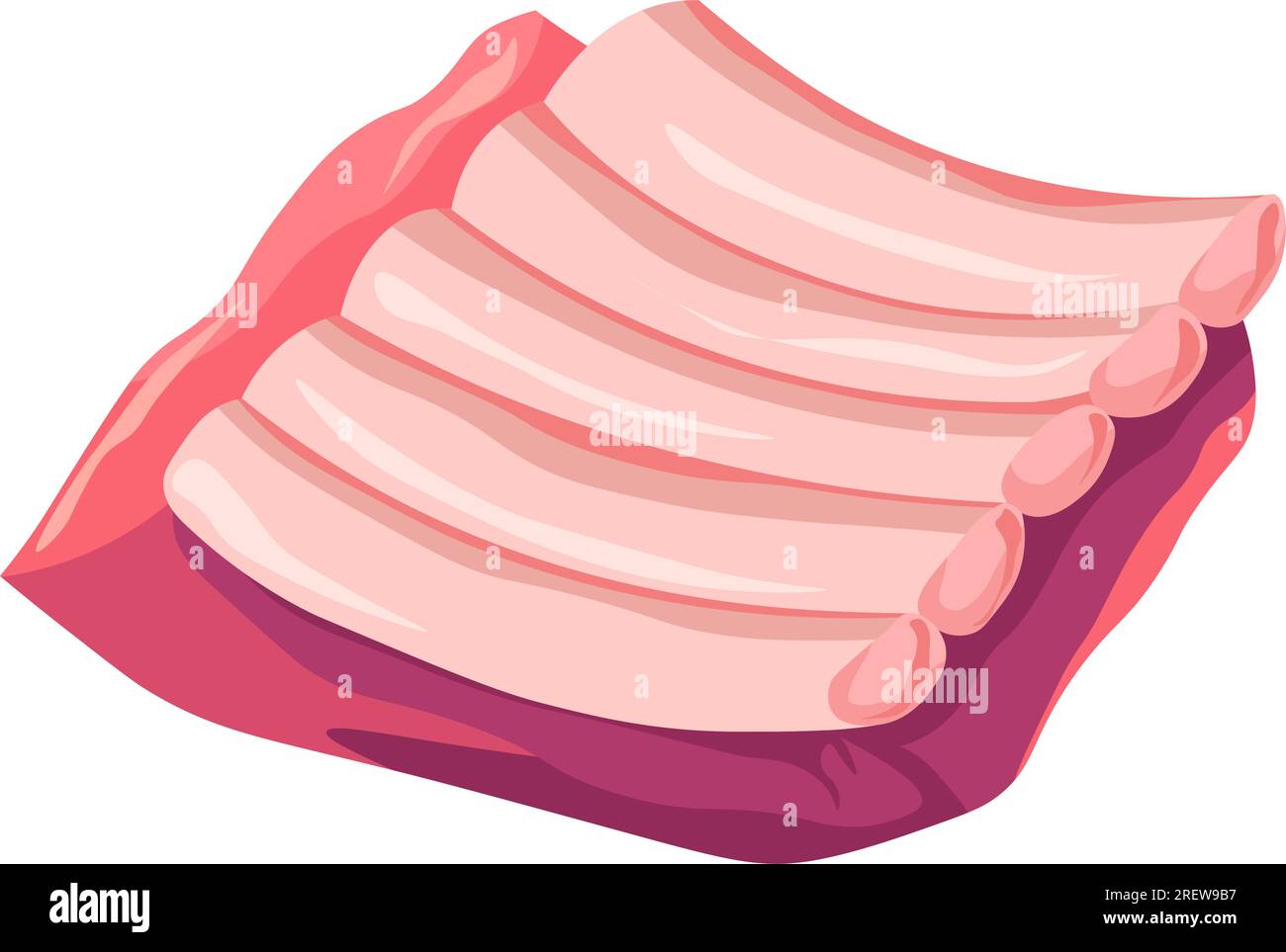 Pork back ribs, meat cut, butchery store vector Stock Vector Image ...