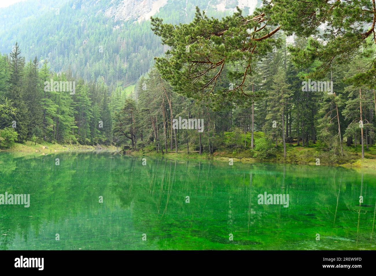 The Green Lake in Styria, Austria, landscape summer season Stock Photo ...