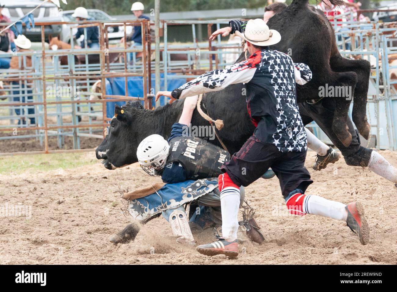 Photos of men, women and kids competing in the gresford rodeo riding ...