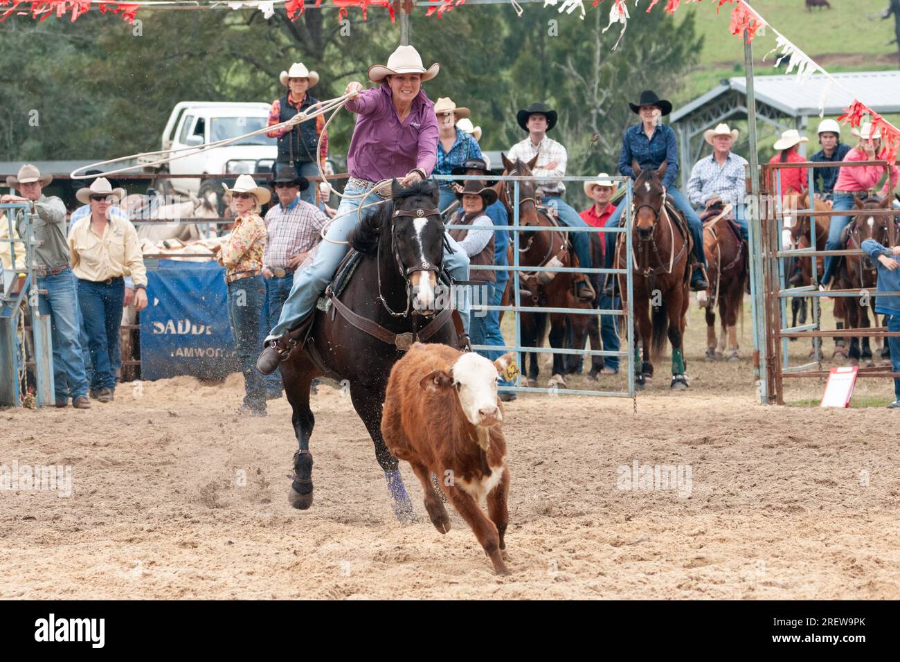 Cowgirl lassos hi-res stock photography and images - Alamy