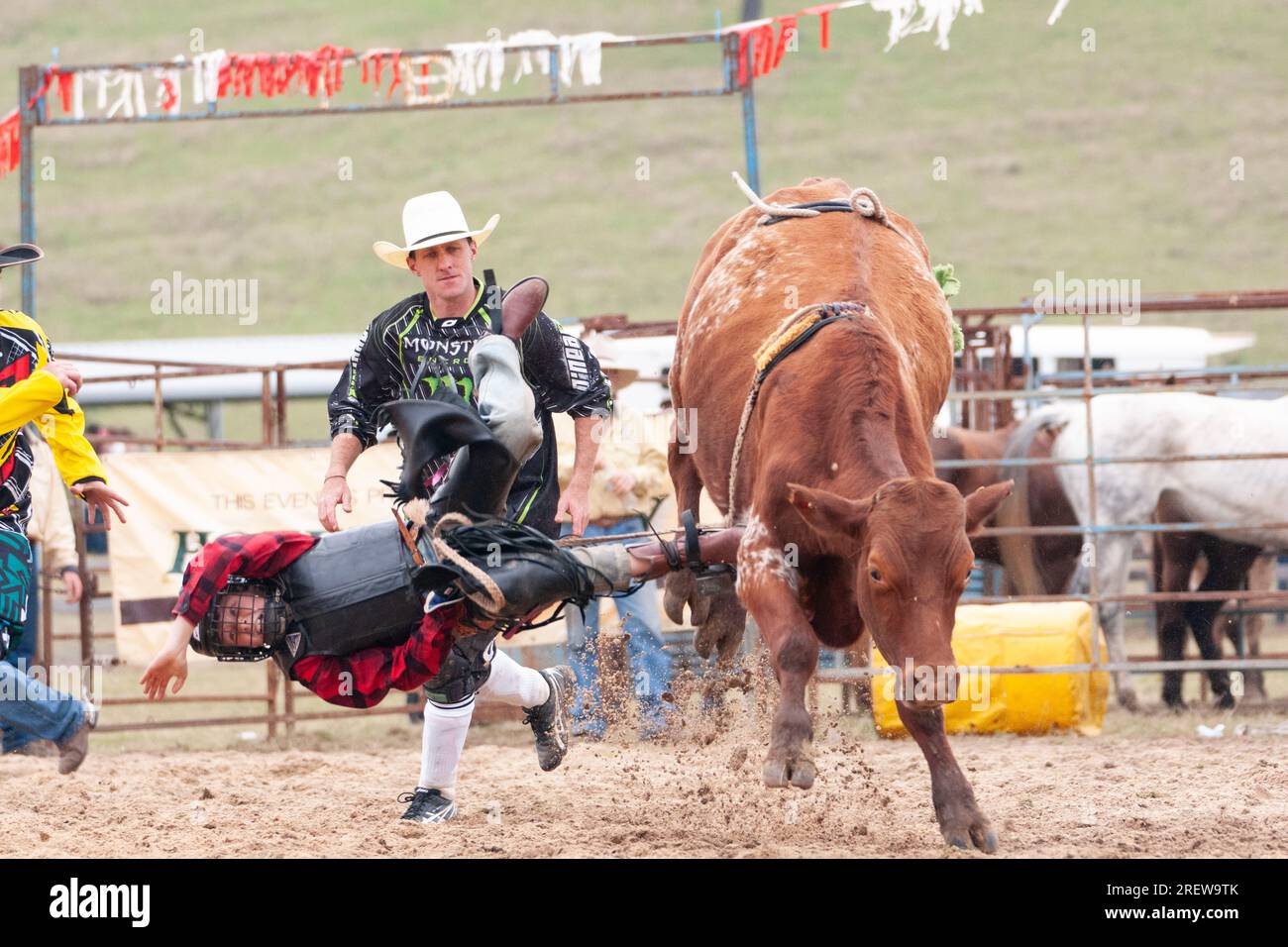Photos of men, women and kids competing in the gresford rodeo riding ...