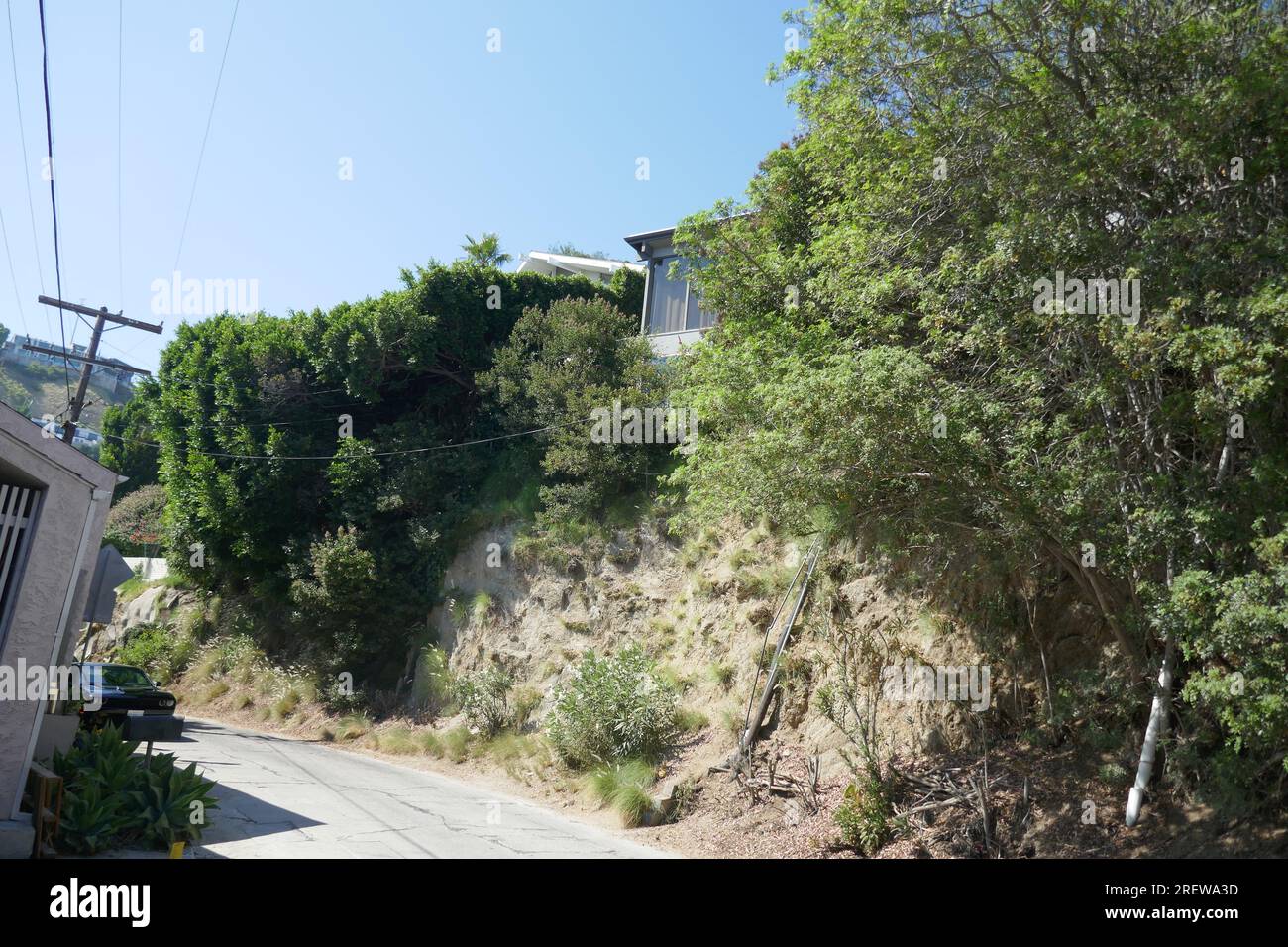 Los Angeles, California, USA 29th July 2023 Snowboarder Shaun White ...