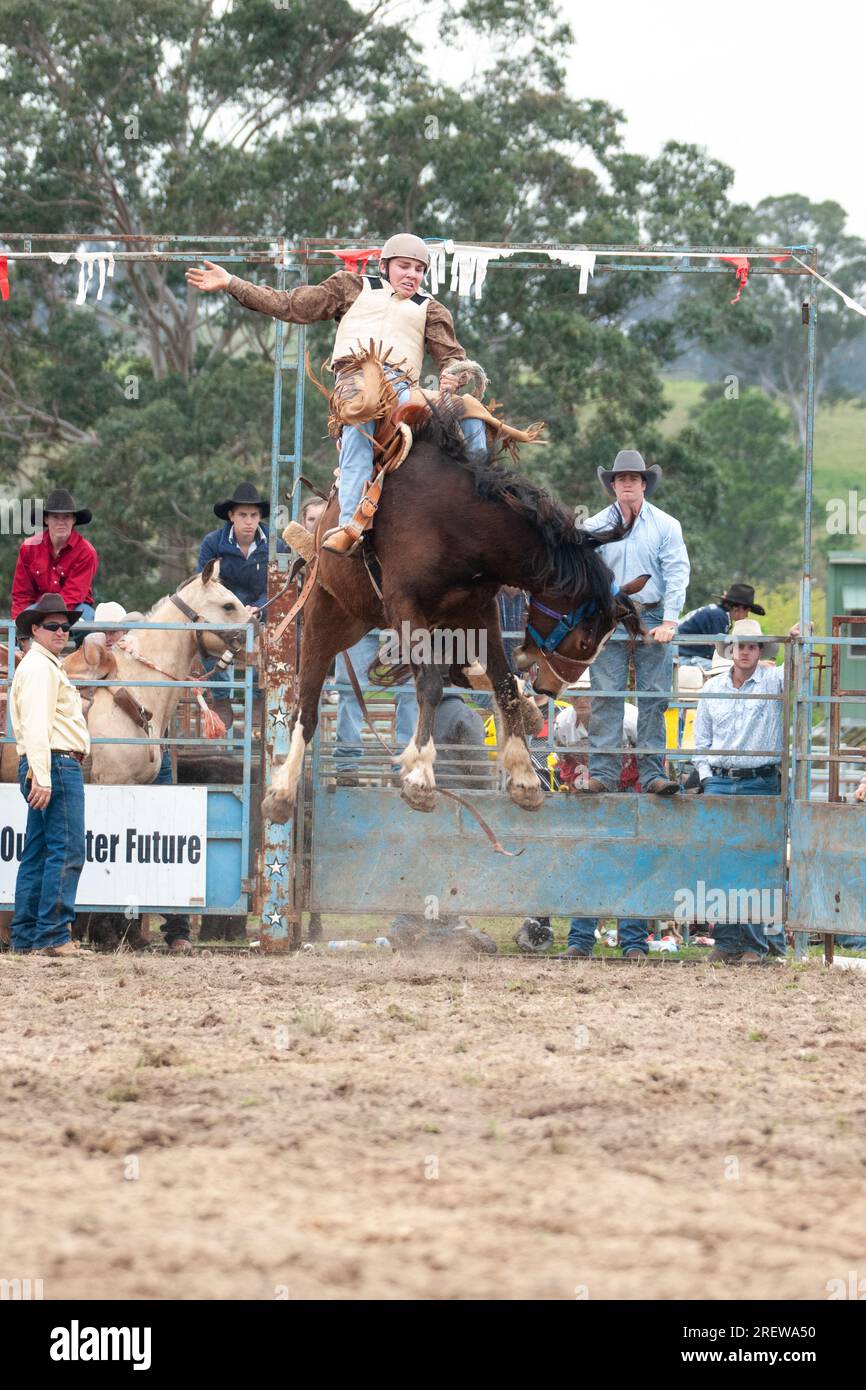 Photos of men, women and kids competing in the gresford rodeo riding ...