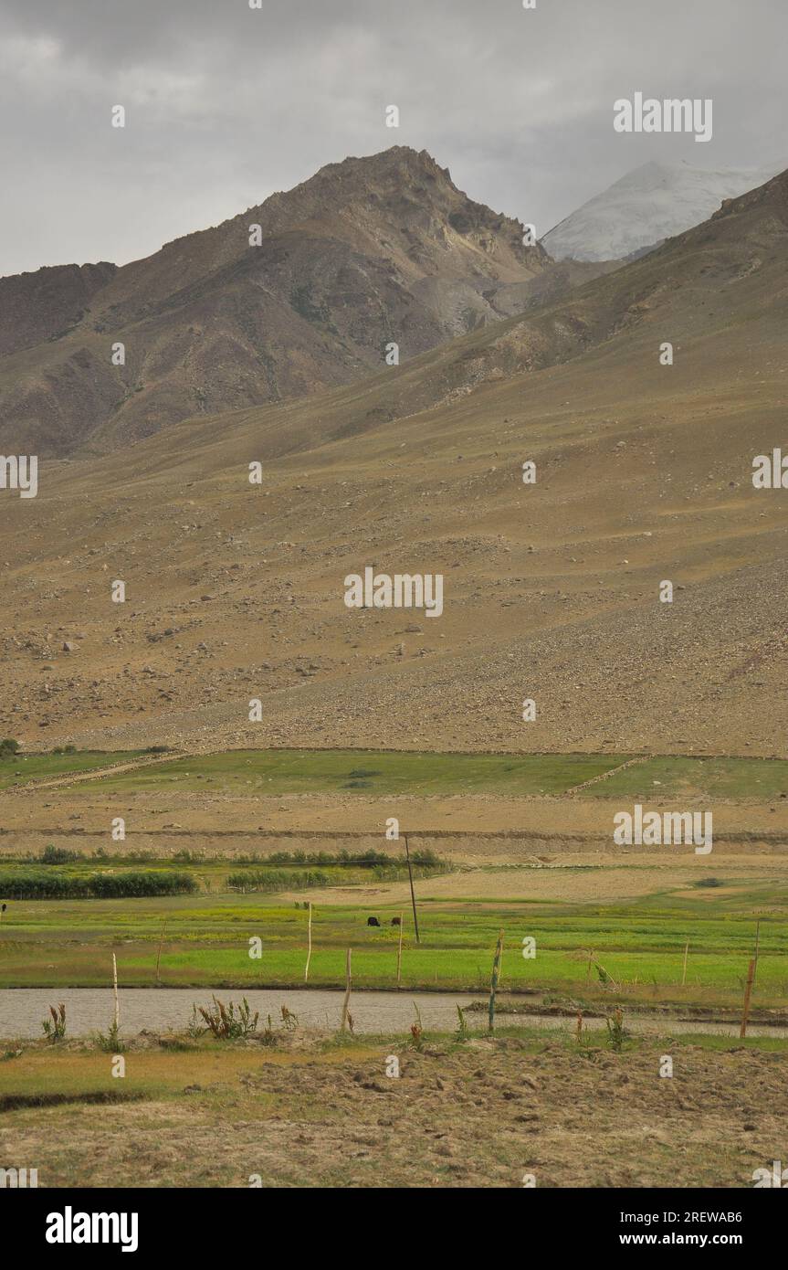 Evening view of dry mountain with a green field beside to pond in Padum ...