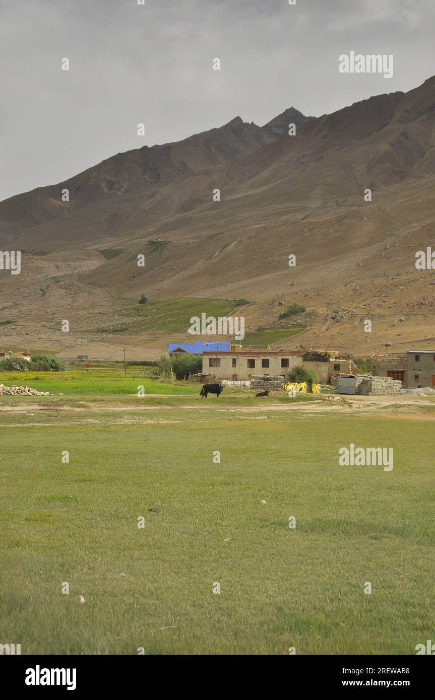 Beautiful house located in next to dry mountain in Padum, Zanskar ...