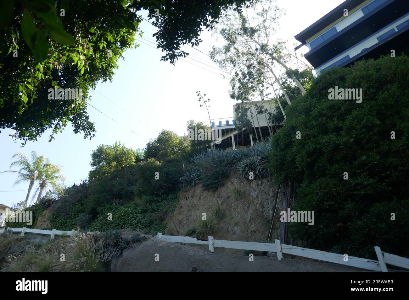 Los Angeles, California, USA 29th July 2023 Actor Fred Savage and Actor ...