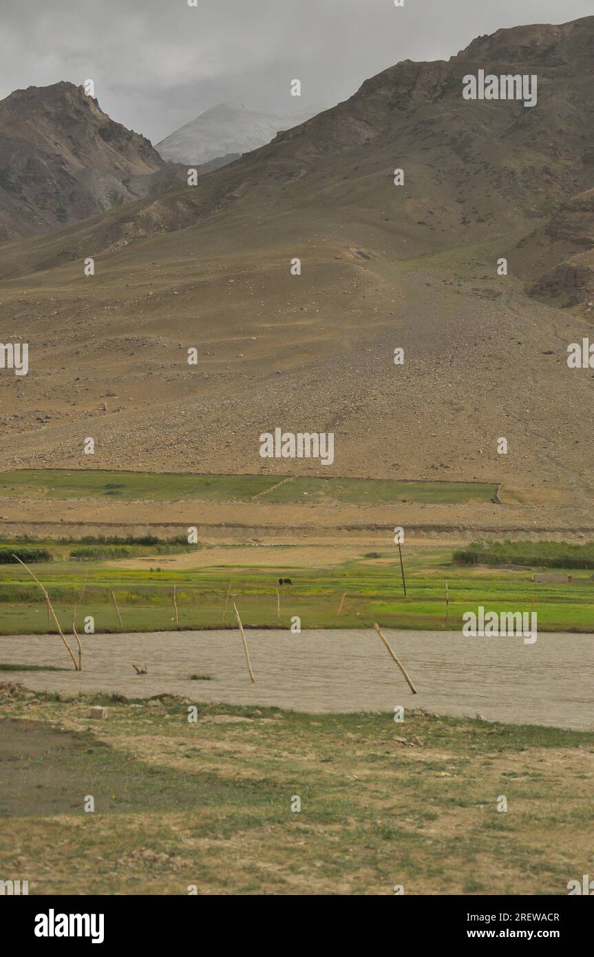 Evening view of dry mountain with a green field beside to pond in Padum ...