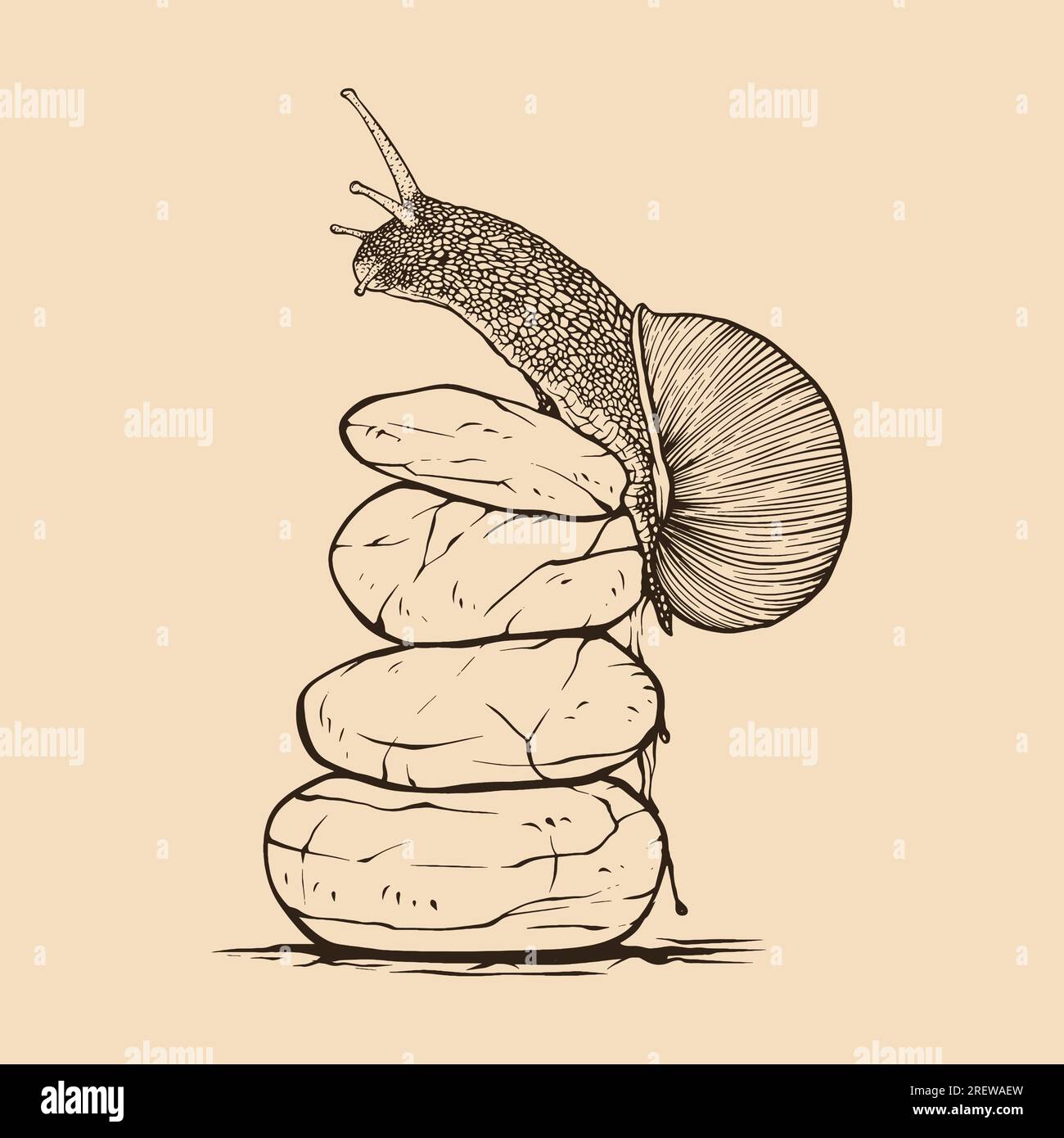 Snail on rock hand drawn. Vintage line engraving style. Vector ...