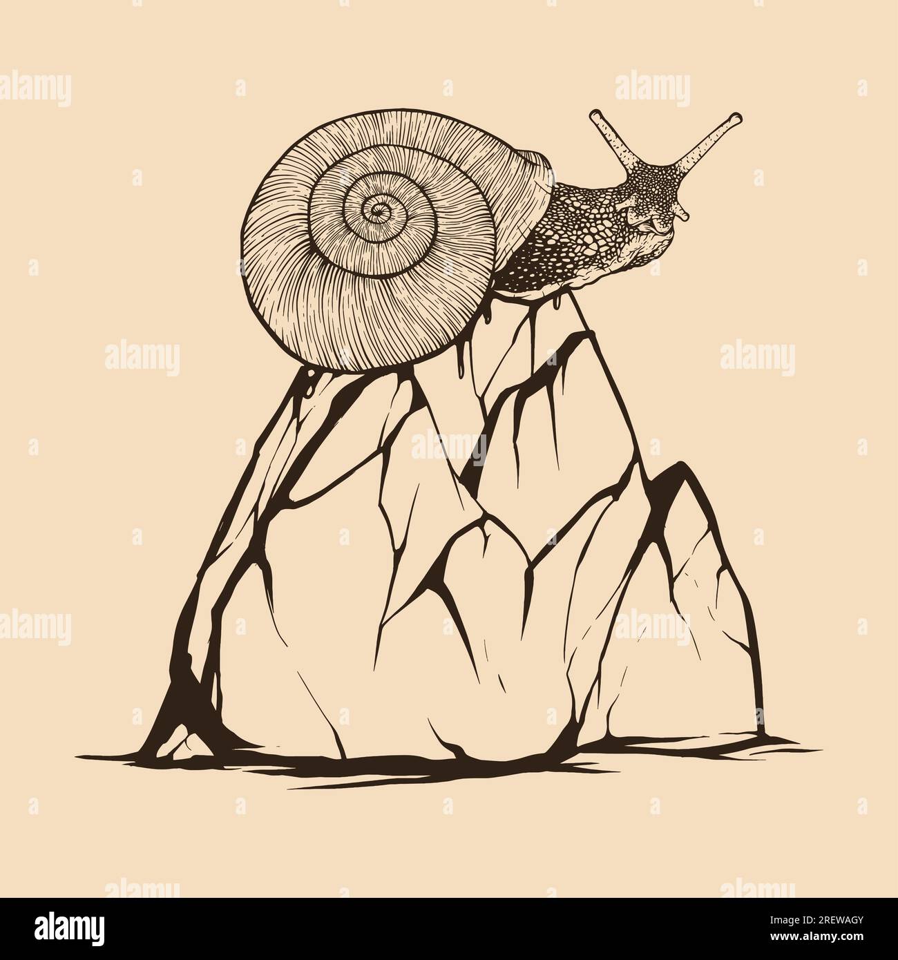 Elaborate Drawings Snail