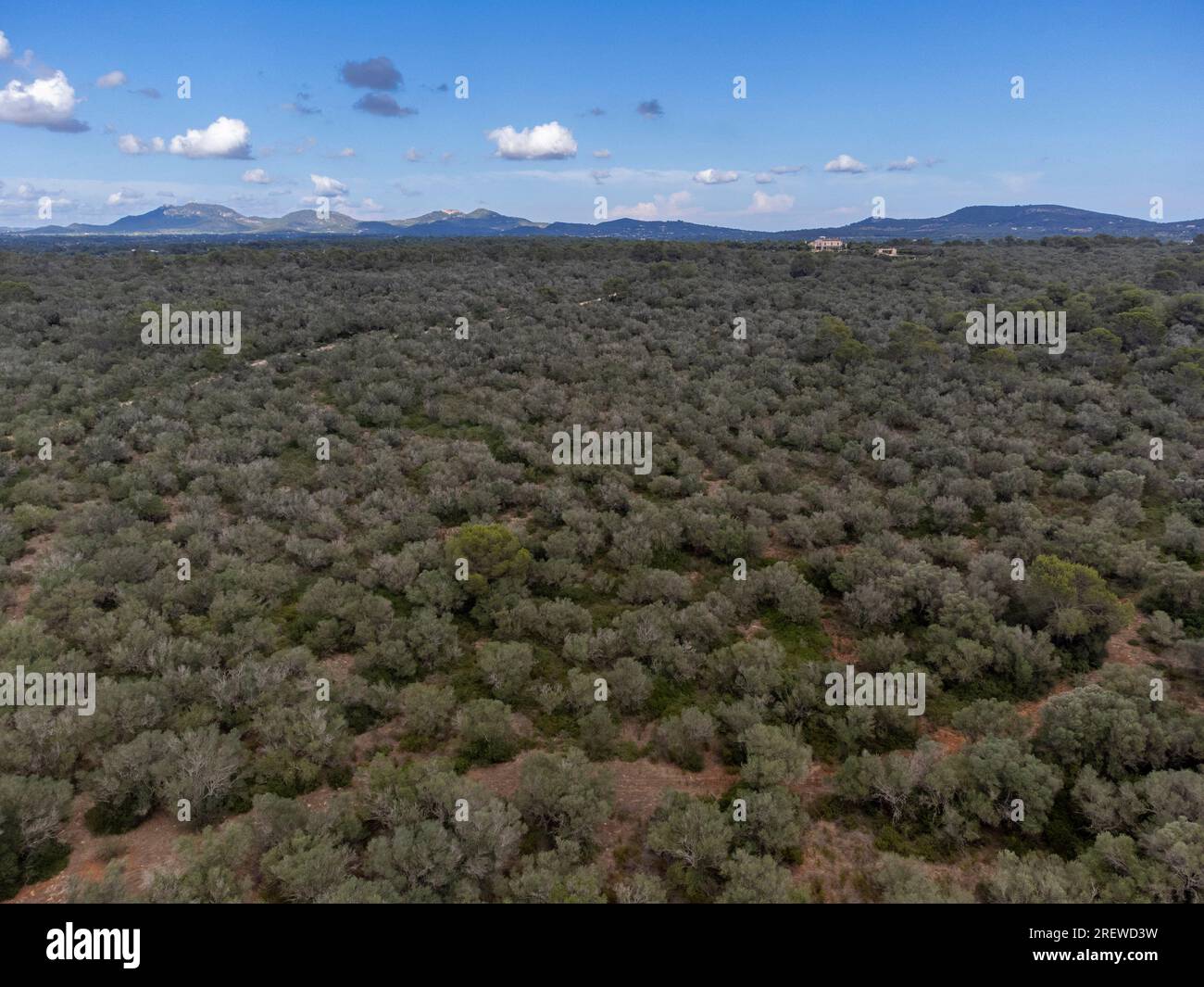 Mediterranean biome mountains hi-res stock photography and images - Alamy