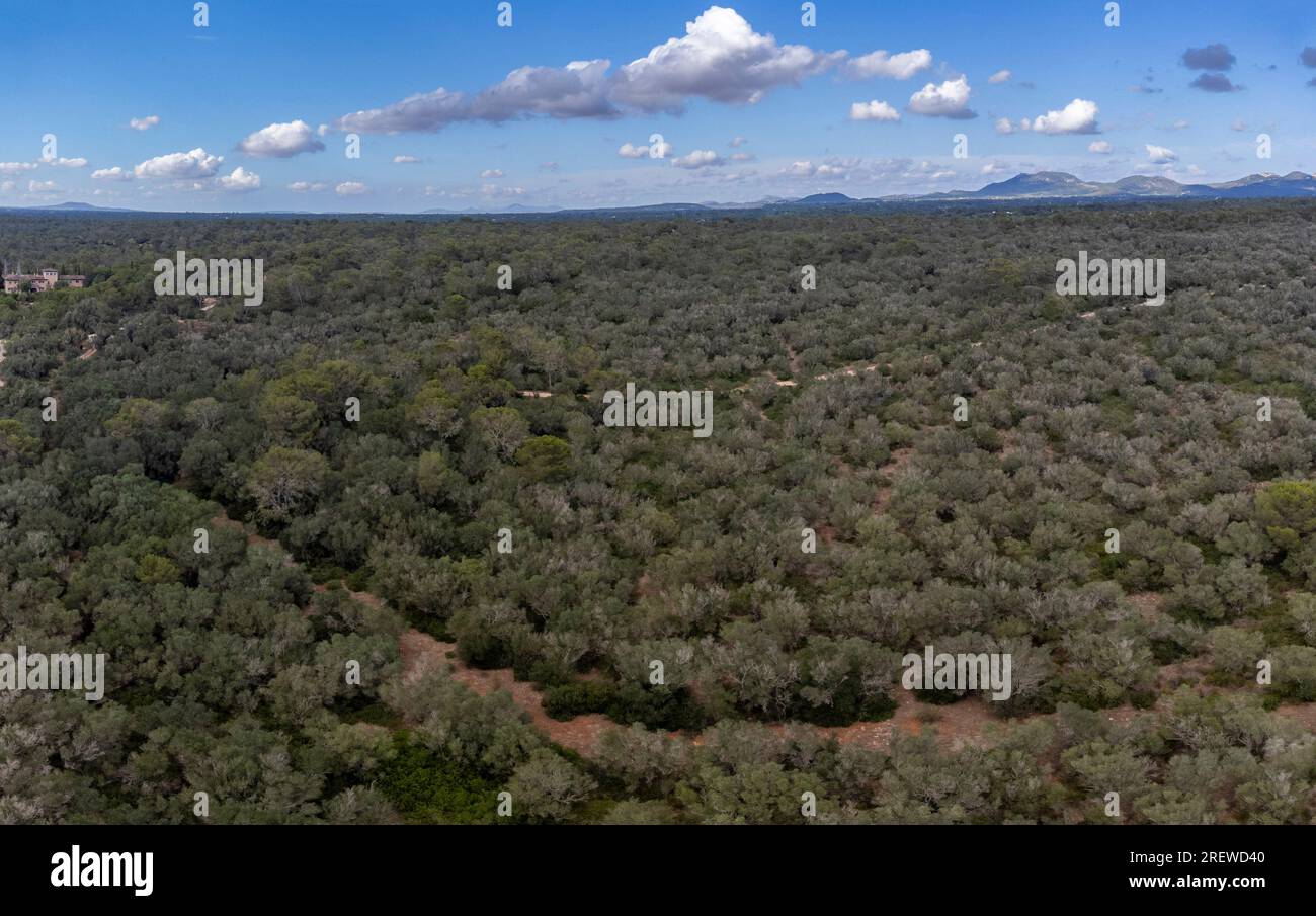 Mediterranean biome mountains hi-res stock photography and images - Alamy