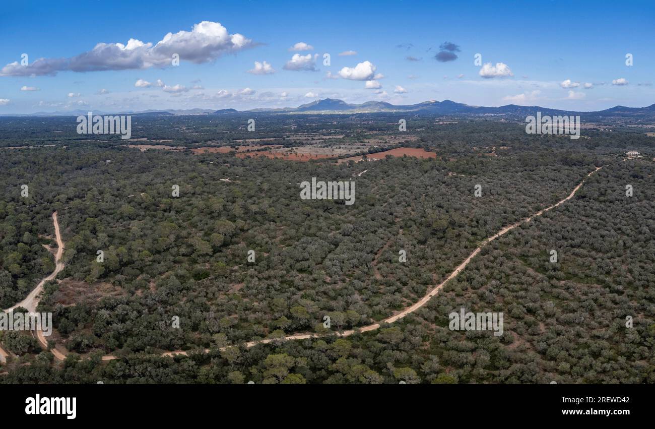 Mediterranean biome mountains hi-res stock photography and images - Alamy
