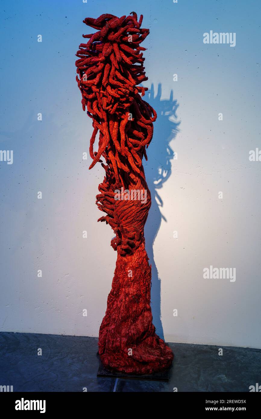 MEDUSA, 2017, NOUREDDINE AMIR, Sa Bassa Blanca Museum (msbb) Yannick Vu ...