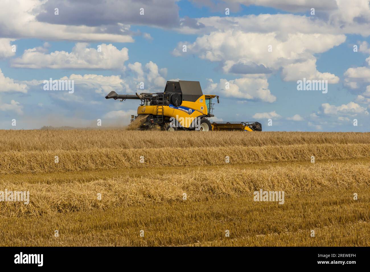 Huggate, East Yorkshire, UK. July 29 2023. Harvest time in the ...