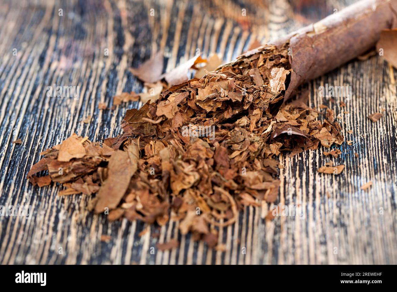 tobacco from a crumbling cigarette on the board, dangerous tobacco from ...