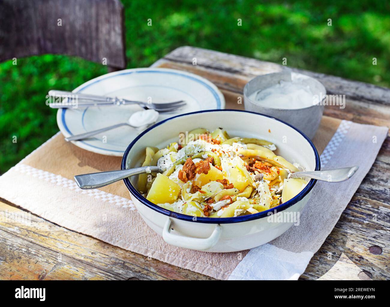 Traditional Slovenian dish with green beans or yellow beans with ...