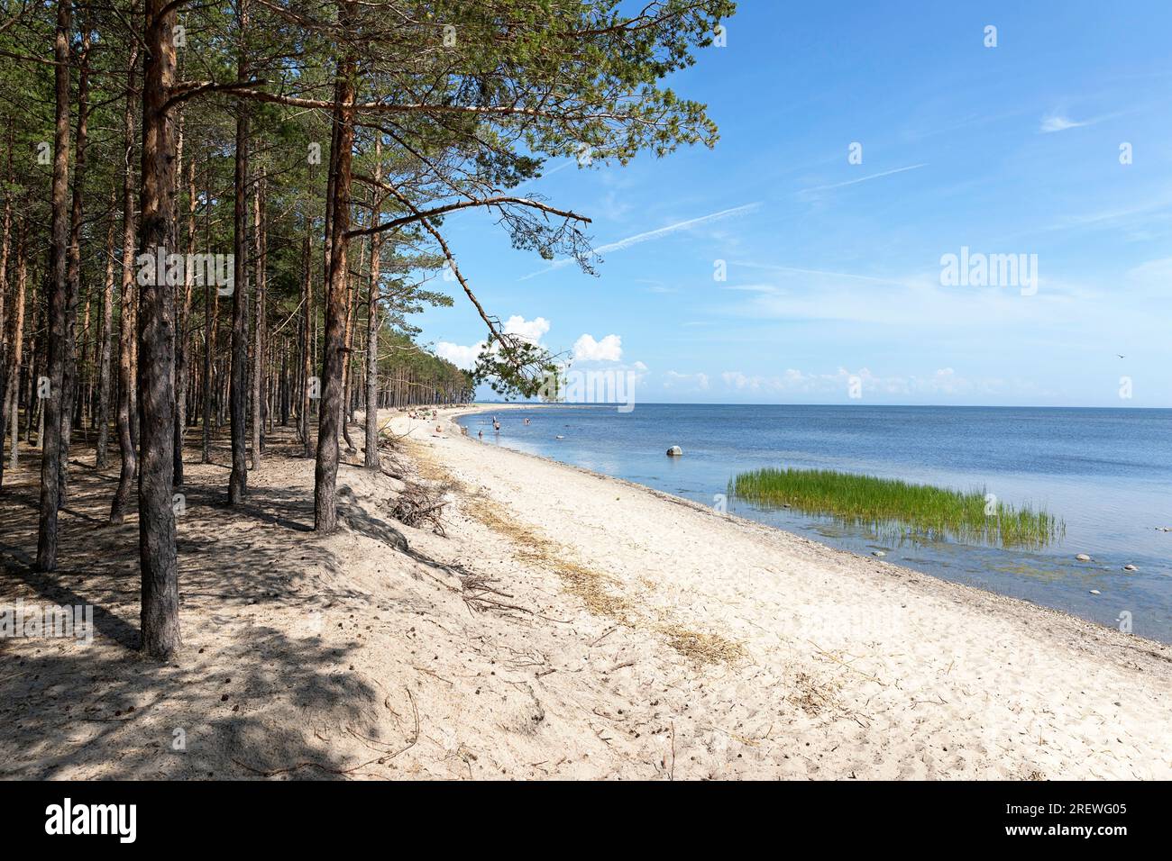 Tourists relaxing on a sandy beach on a beautiful summer sunny day on ...