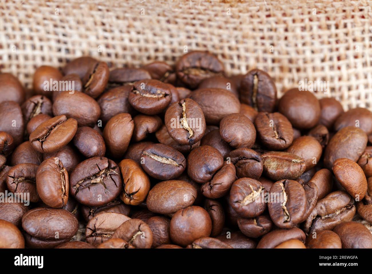 coffee beans for the production of delicious coffee, aromatic coffee ...