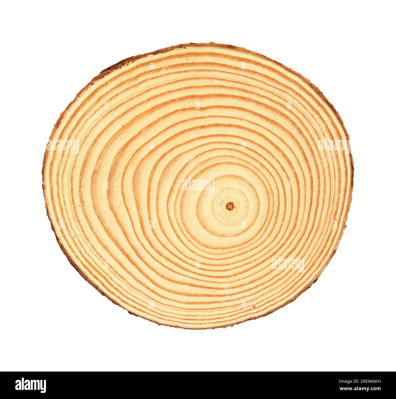 Dark and dense Cut Out Stock Images & Pictures - Alamy