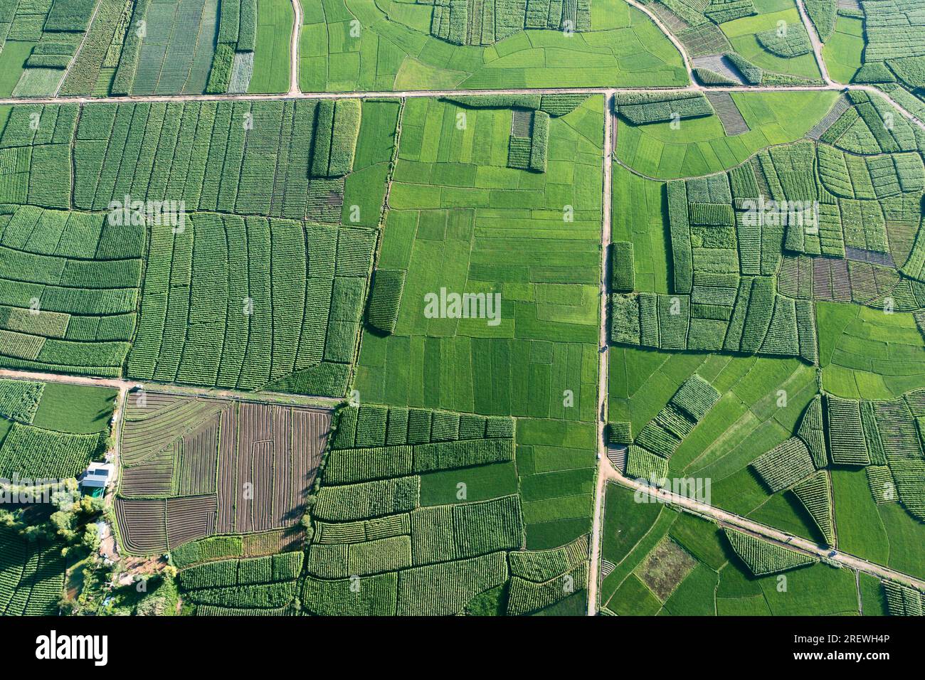Town china farmland hi-res stock photography and images - Alamy