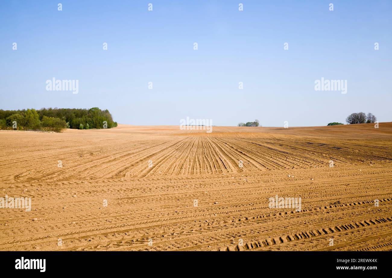 agricultural field with plants that are grown in organic farming ...