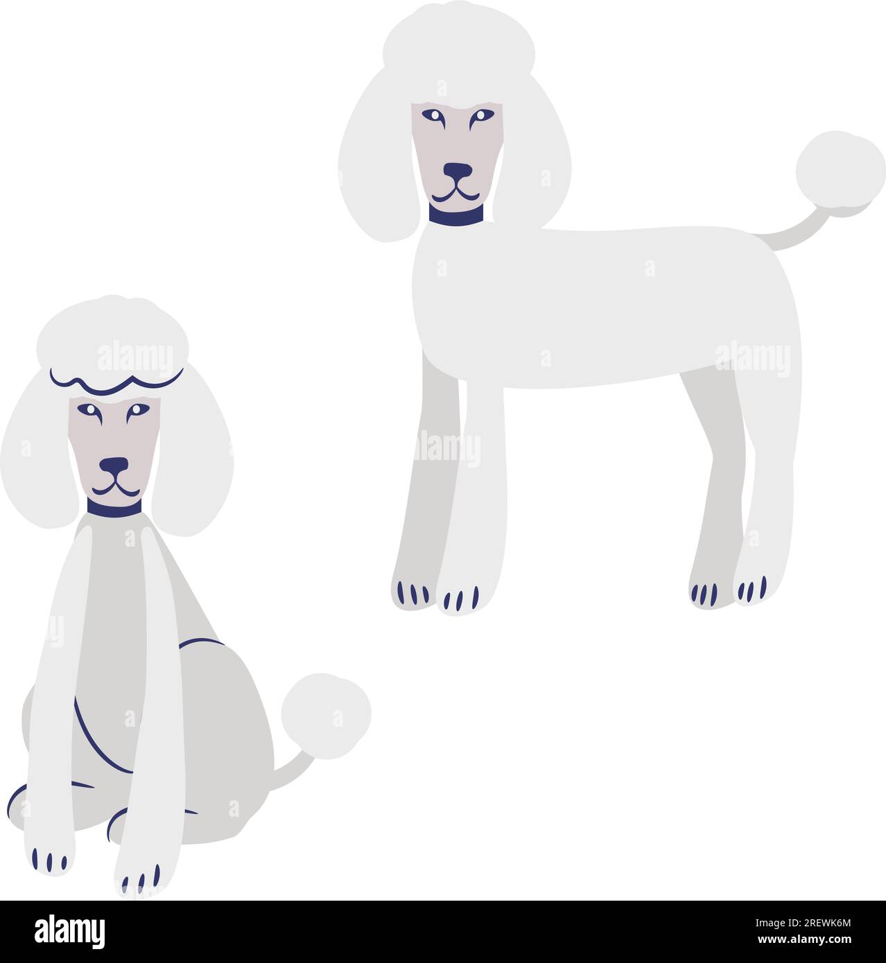 Fluffy french white poodle cartoon in two poses sitting and standing ...