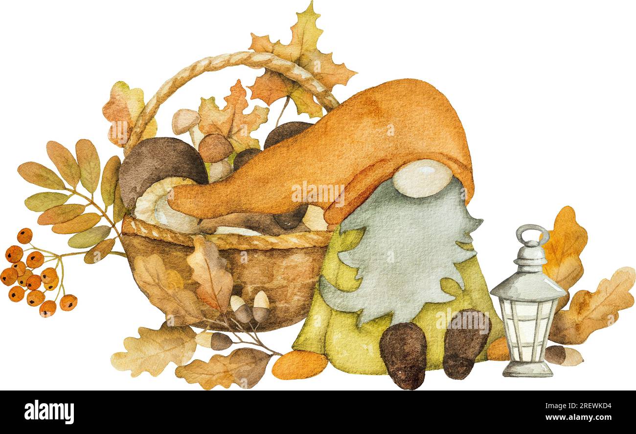 Cute autumn dwarf with mushrooms, arcons and leaves harvest watercolor ...