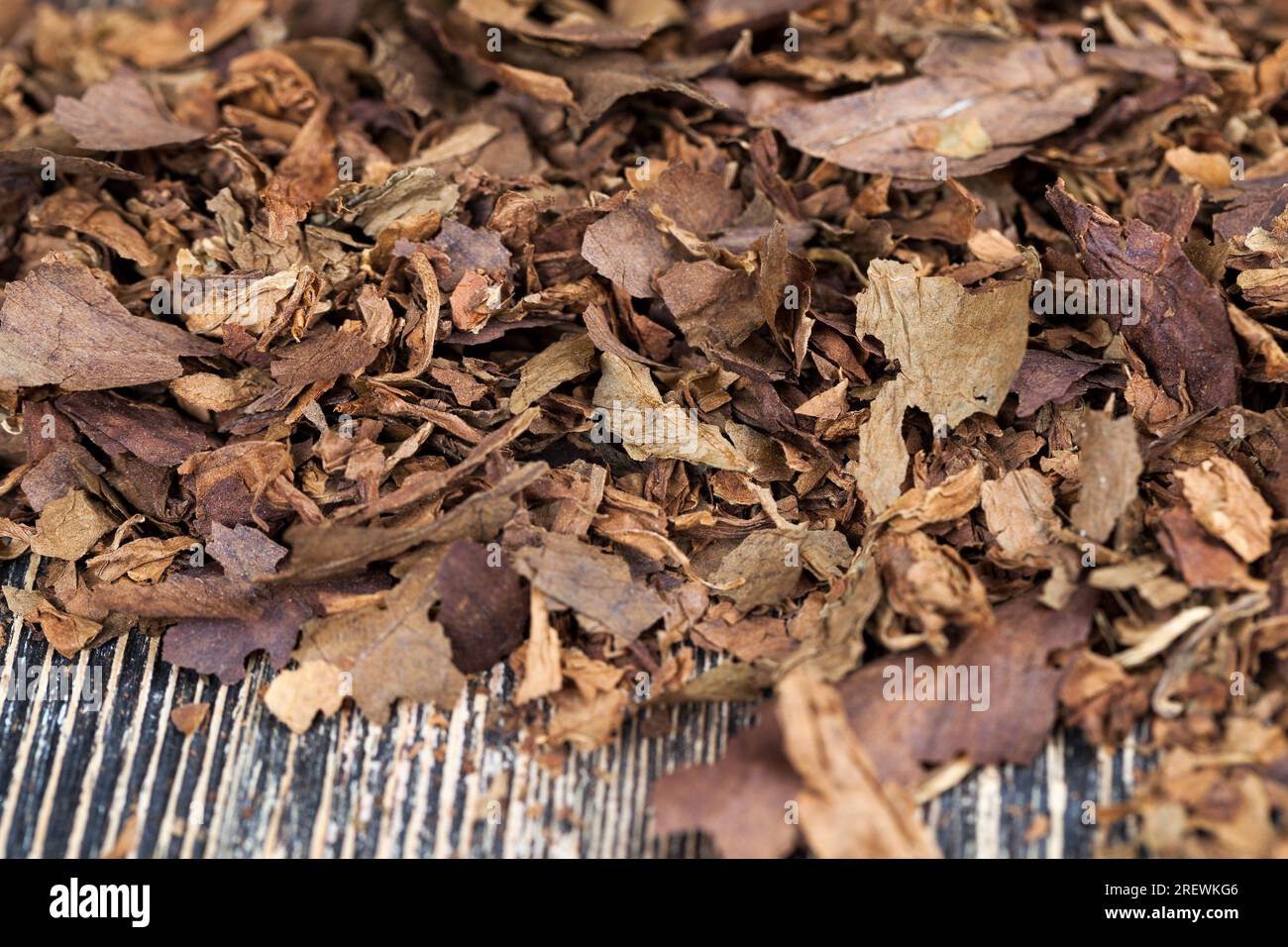 tobacco from a crumbling cigarette on the board, dangerous tobacco from ...