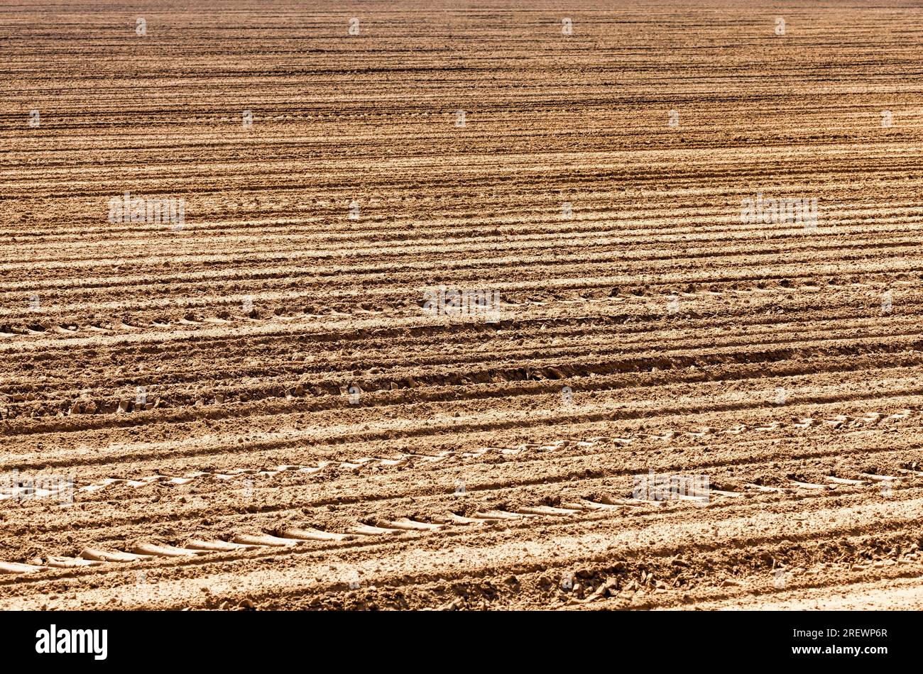 ploughed soil on which cereals are grown, a field with fertile soil ...