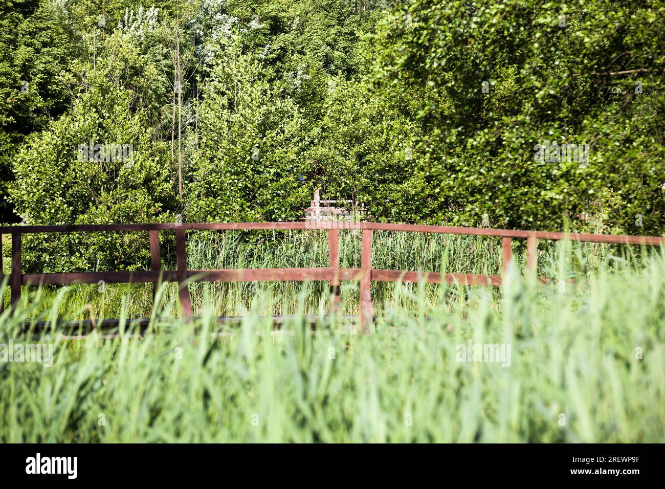 a simple wooden bridge built across a narrow river for the convenience ...