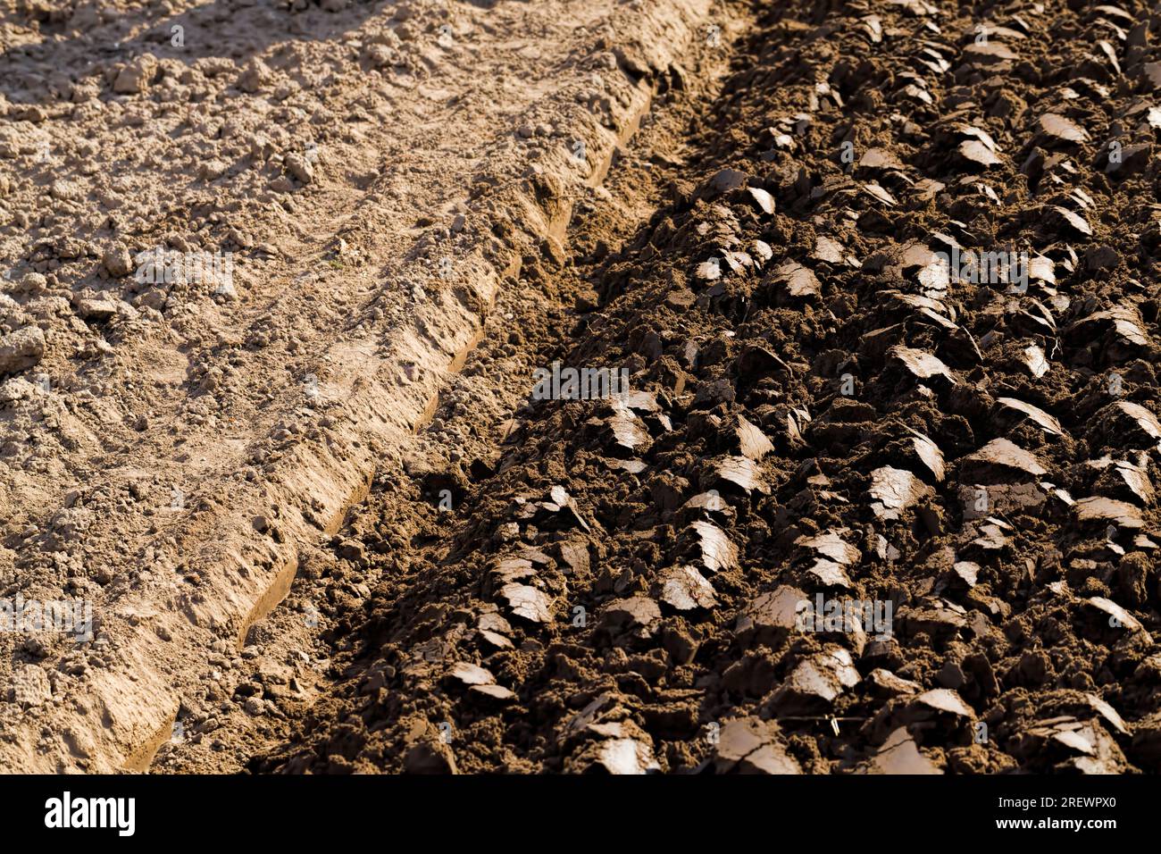 close up photo of sand and soil, a real close up of a part of the earth ...