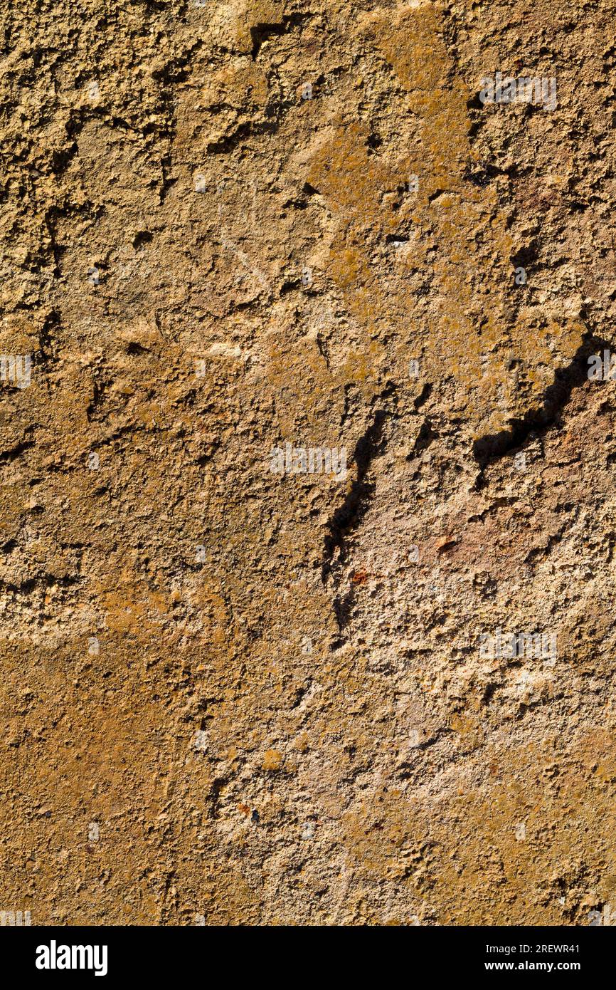 close up photo of sand and soil, a real close up of a part of the earth ...
