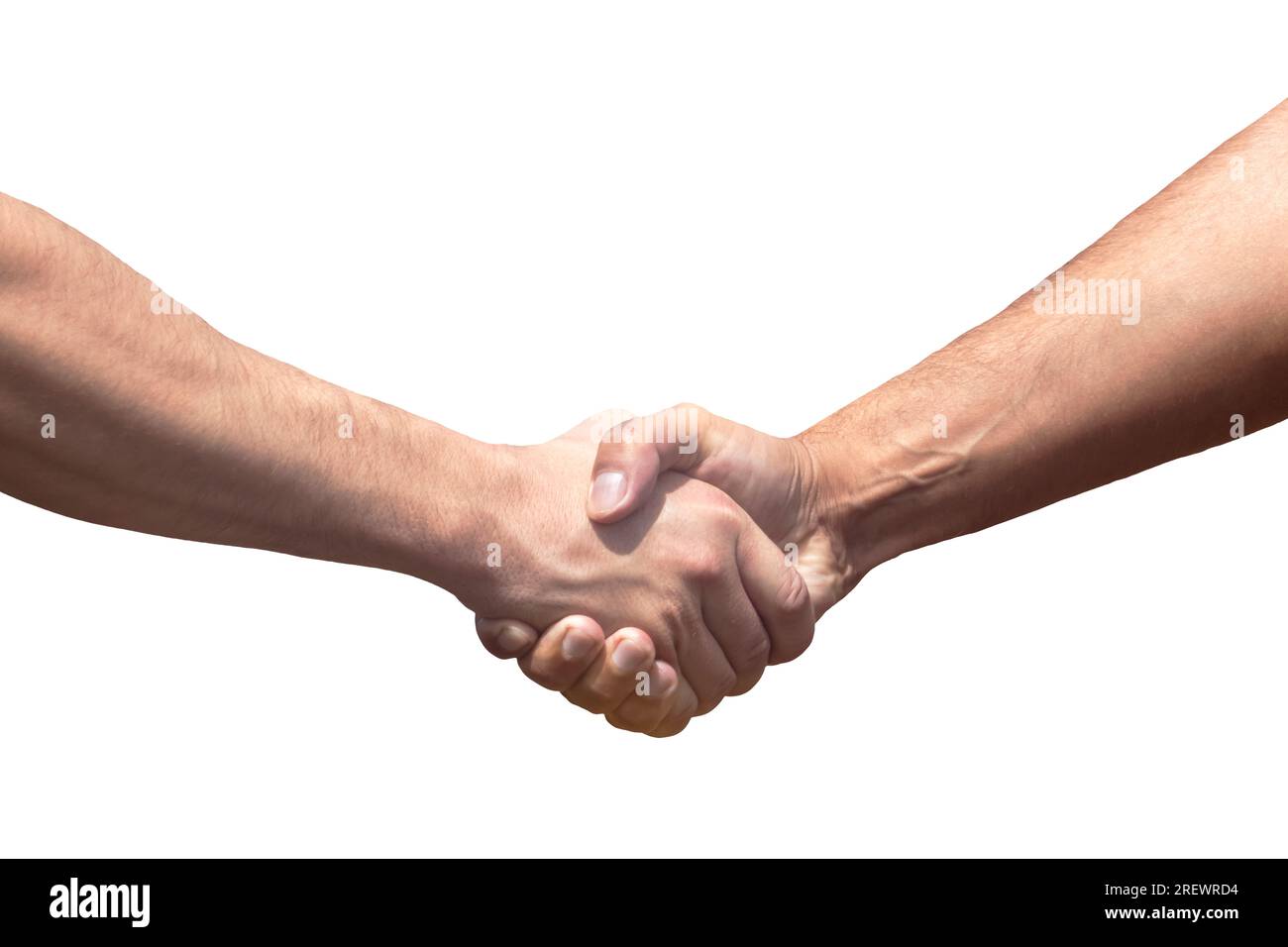 handshake of men, grain deal, agreements, truce Stock Photo - Alamy