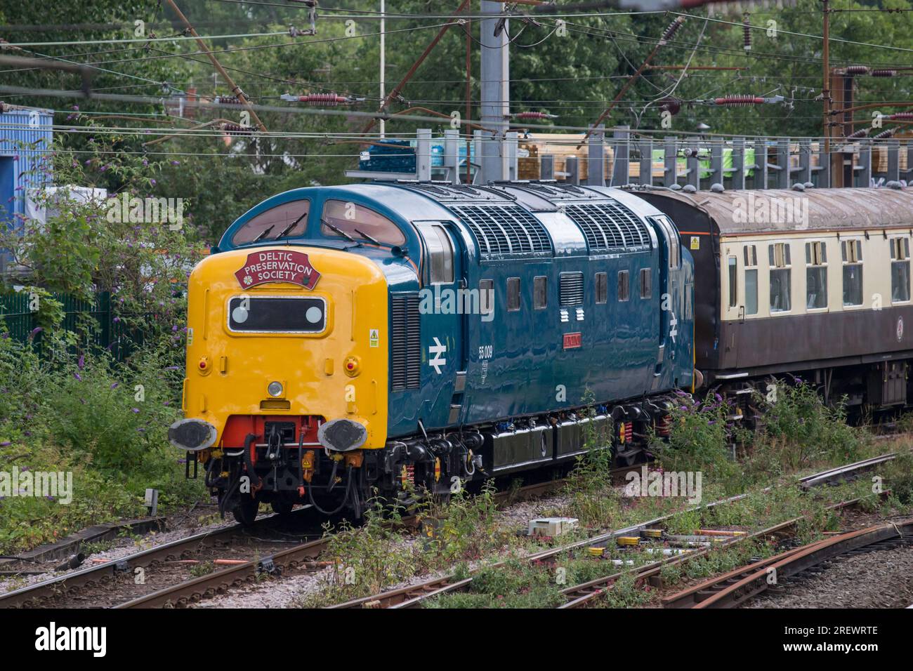 Deltic Preservation Society 55009 Alycidon at speed at Hornsey Station ...