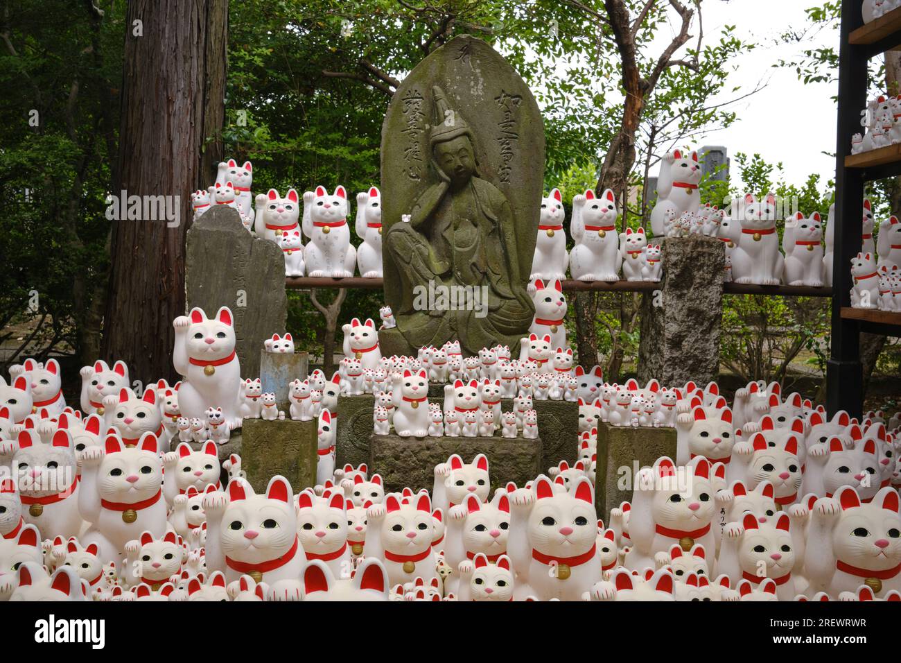 Buddha cat hi-res stock photography and images - Alamy