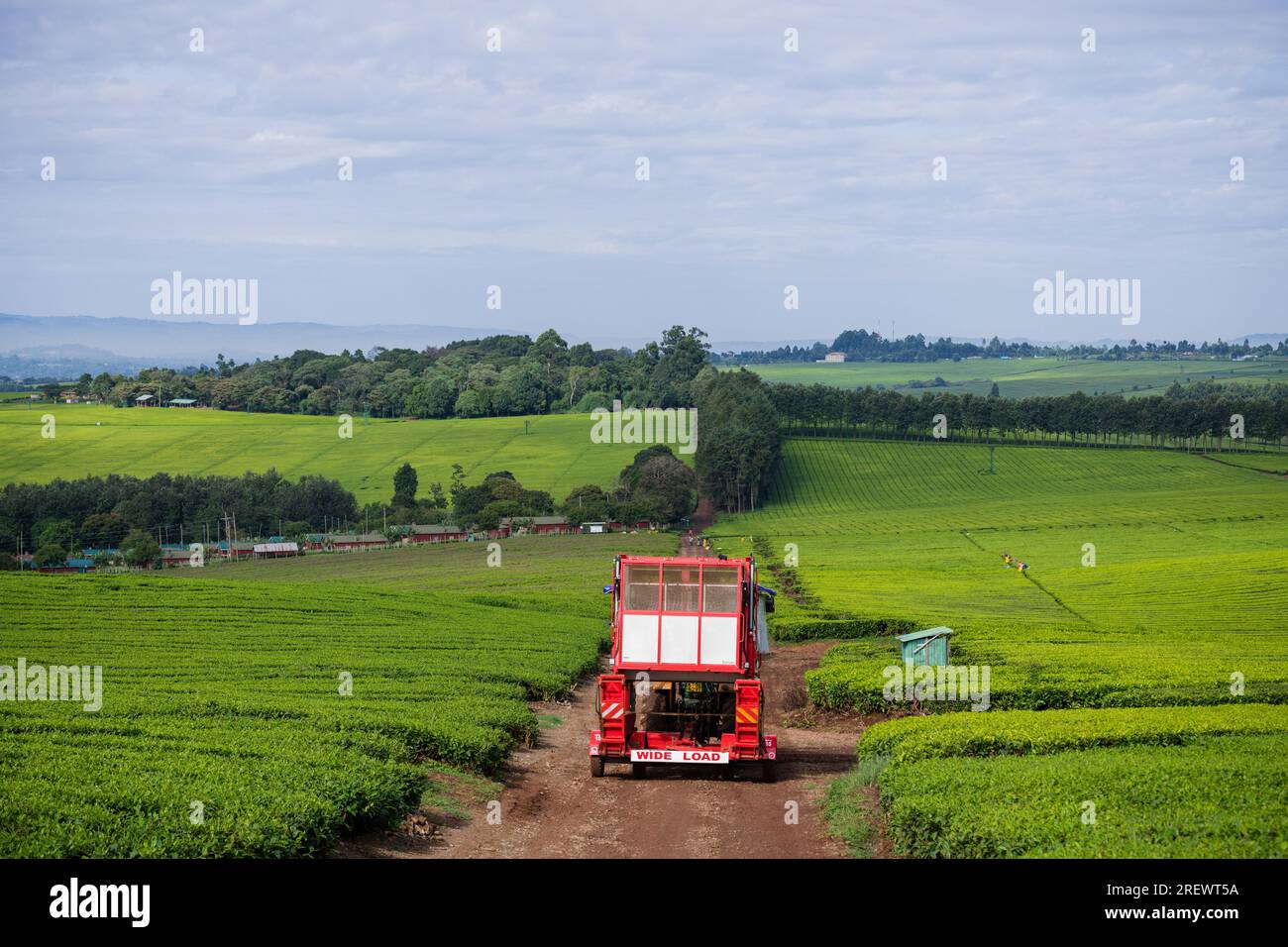 Ochiai Cutlery Manufacturing Tea Harvester Plucking Machine Stock Photo ...