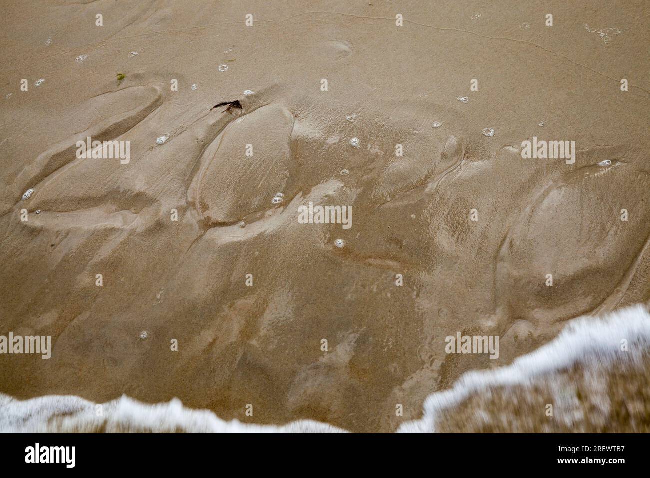 photo of sand on the beach, the numbers 2020 are drawn on the sand, the ...