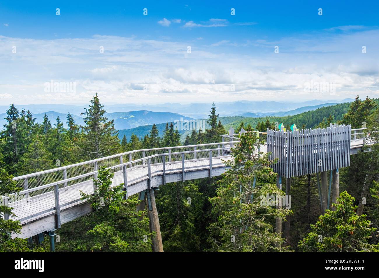 Forest canopy walkway footpath above treetops, outdoor adventure on ...