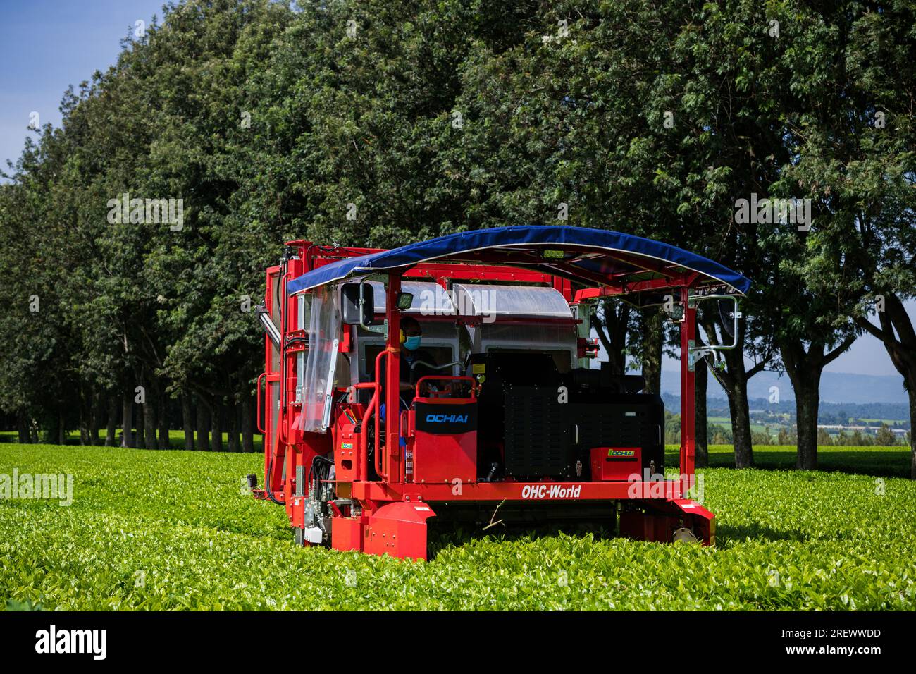 Ochiai Cutlery Manufacturing Tea Harvester Plucking Machine Stock Photo ...