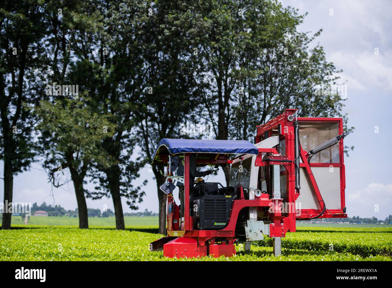 Ochiai Cutlery Manufacturing Tea Harvester Plucking Machine Stock Photo ...
