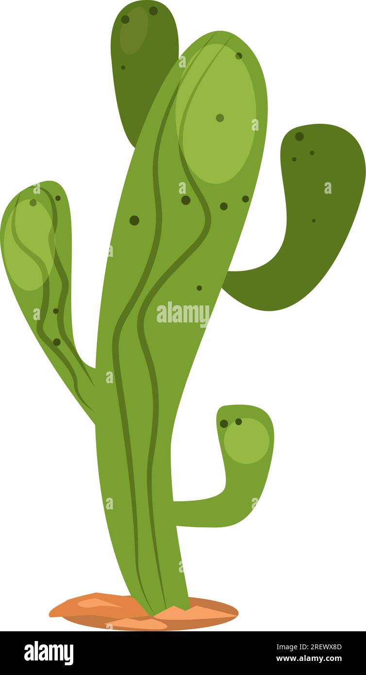 Mexican cactus illustration Stock Vector Image & Art - Alamy