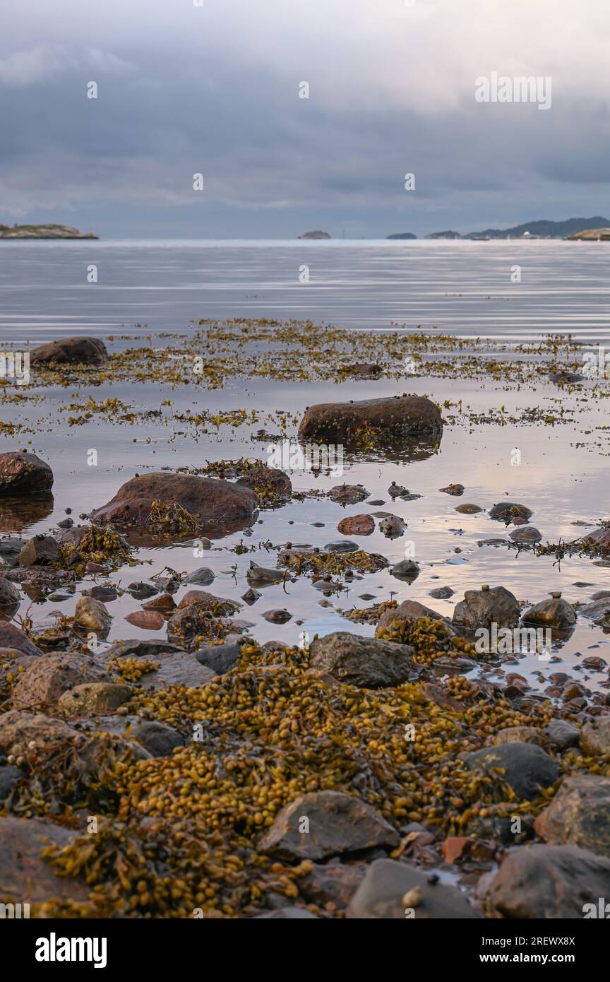 Sandefjord, norway hi-res stock photography and images - Alamy